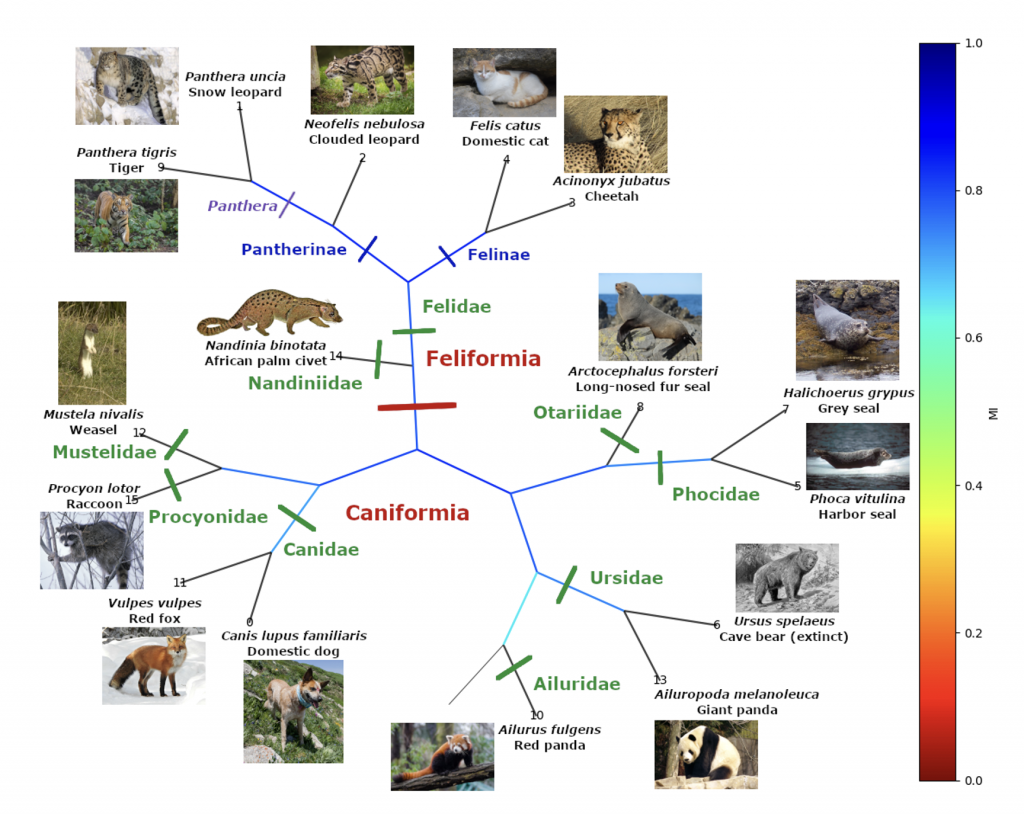 A scheme for building generative models using tensor trees — Enabling ...